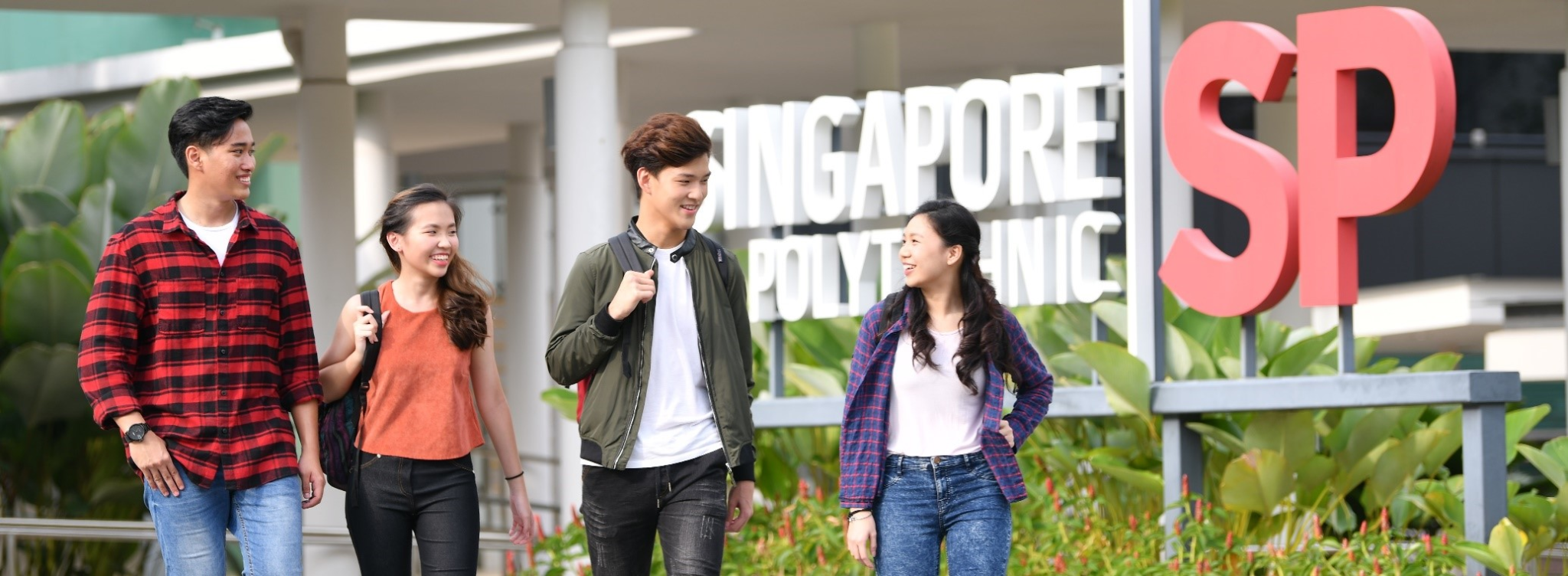 JC Vs Poly: Which Is Best For You? How To Decide?