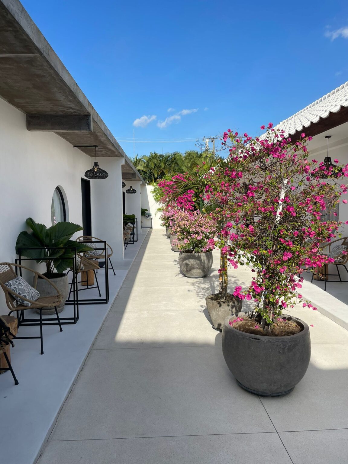 Body Factory Bali Review: Is It Worth The Price?